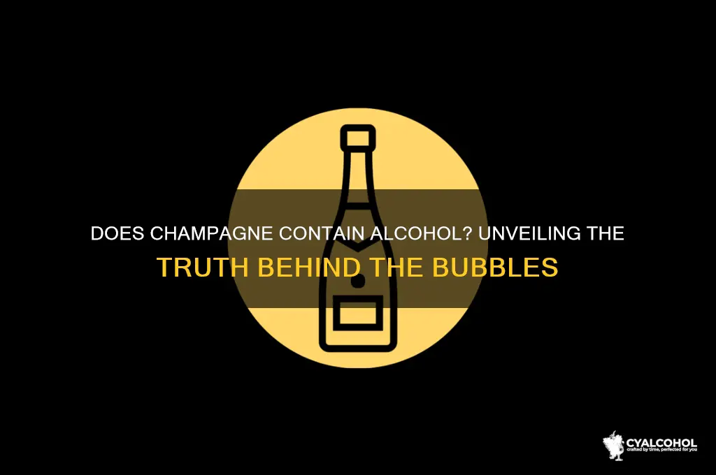 Does Champagne Contain Alcohol? Unveiling The Truth Behind The Bubbles ...