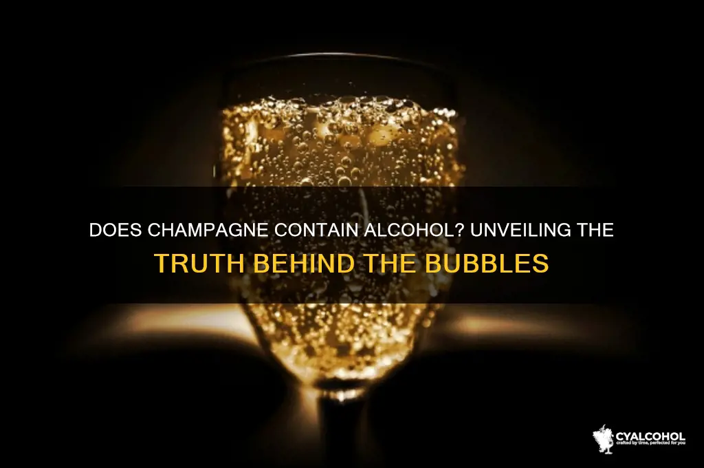 Does Champagne Contain Alcohol? Unveiling The Truth Behind The Bubbles ...