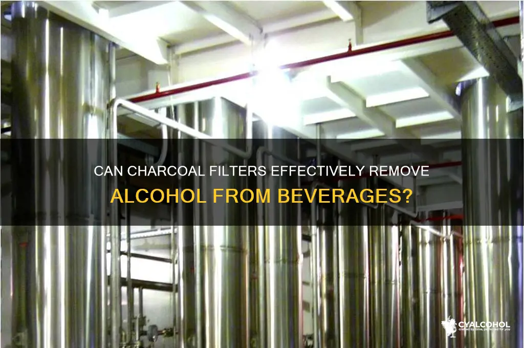 Can Charcoal Filters Effectively Remove Alcohol From Beverages? | CyAlcohol