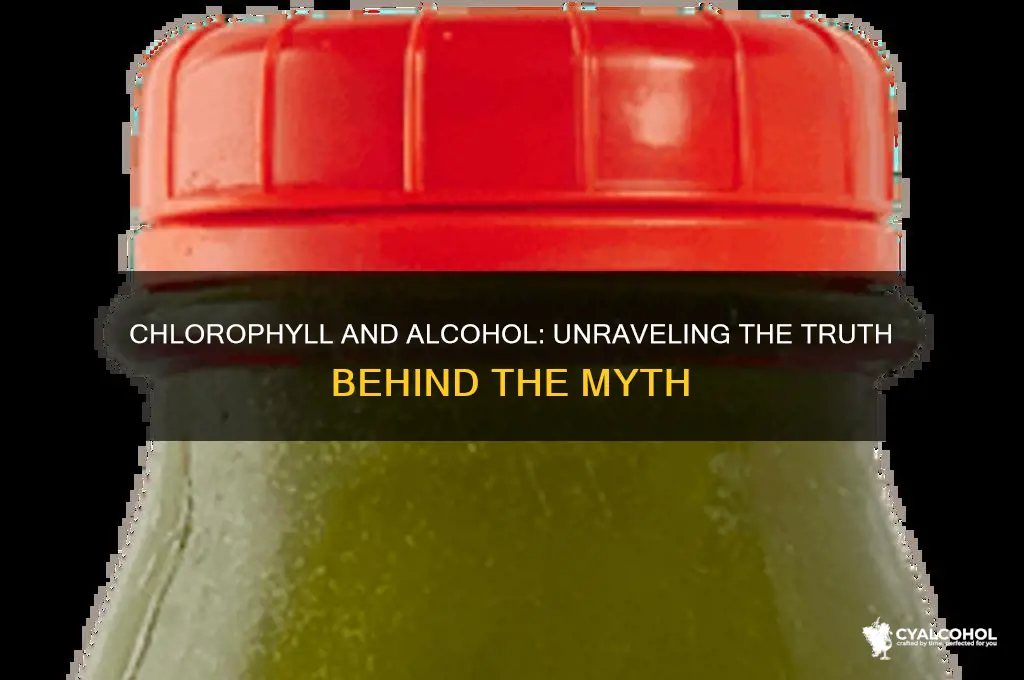 Chlorophyll And Alcohol: Unraveling The Truth Behind The Myth | CyAlcohol