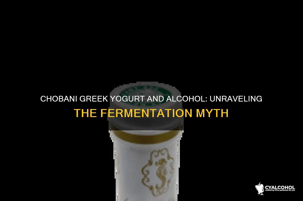 Chobani Greek Yogurt And Alcohol: Unraveling The Fermentation Myth ...
