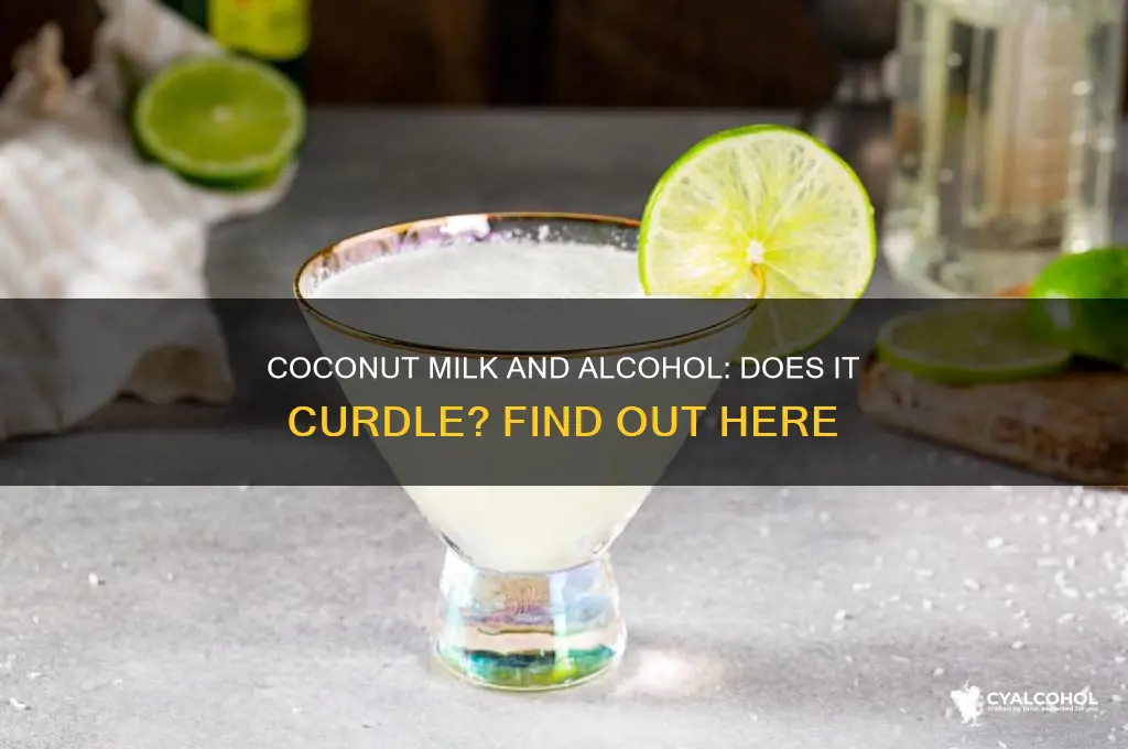 Coconut Milk And Alcohol: Does It Curdle? Find Out Here | CyAlcohol