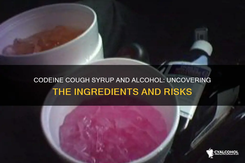 Codeine Cough Syrup And Alcohol: Uncovering The Ingredients And Risks ...