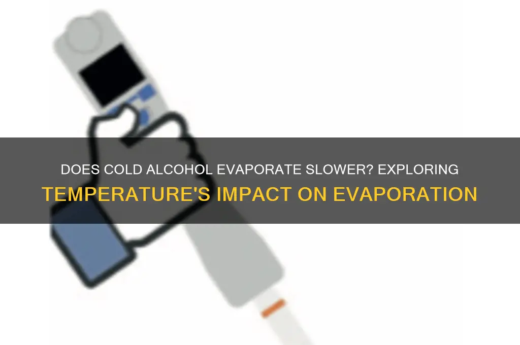 Does Cold Alcohol Evaporate Slower? Exploring Temperature's Impact On ...