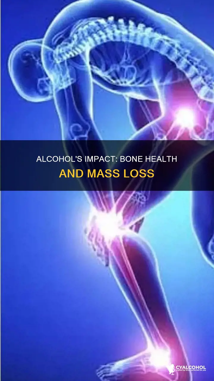 Alcohol's Impact: Bone Health And Mass Loss | CyAlcohol
