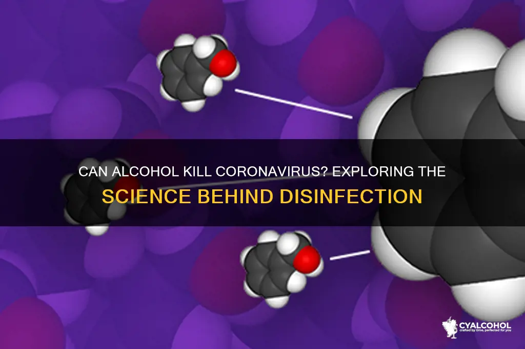 Can Alcohol Kill Coronavirus? Exploring The Science Behind Disinfection ...
