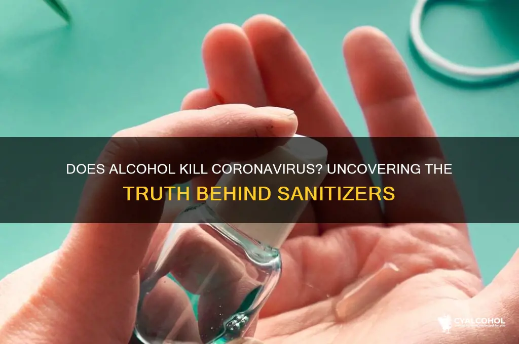 Does Alcohol Kill Coronavirus? Uncovering The Truth Behind Sanitizers ...