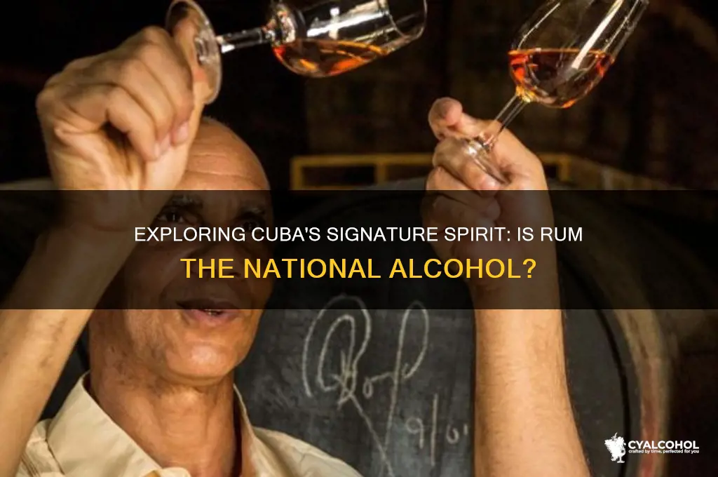 Exploring Cuba's Signature Spirit: Is Rum The National Alcohol? | CyAlcohol