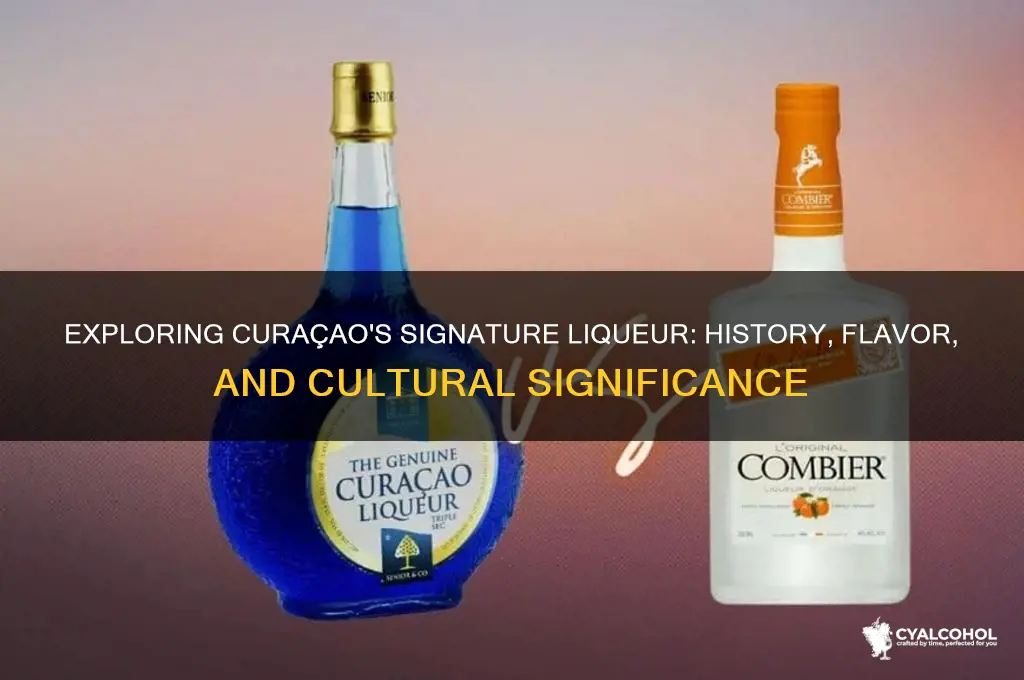 Exploring Curaçao's Signature Liqueur: History, Flavor, And Cultural ...