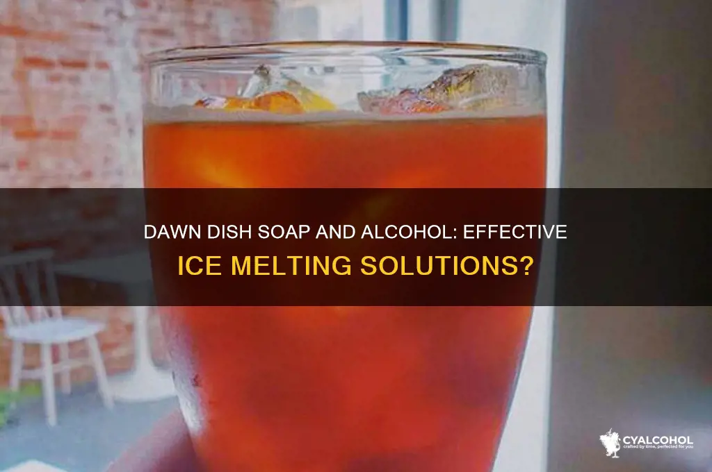 Dawn Dish Soap And Alcohol: Effective Ice Melting Solutions? | CyAlcohol