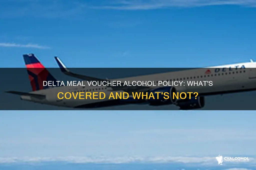 Delta Meal Voucher Alcohol Policy: What's Covered And What's Not ...