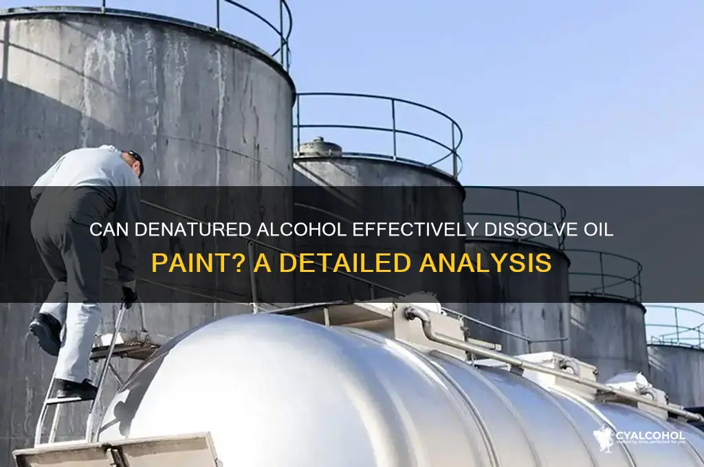 Can Denatured Alcohol Effectively Dissolve Oil Paint? A Detailed ...