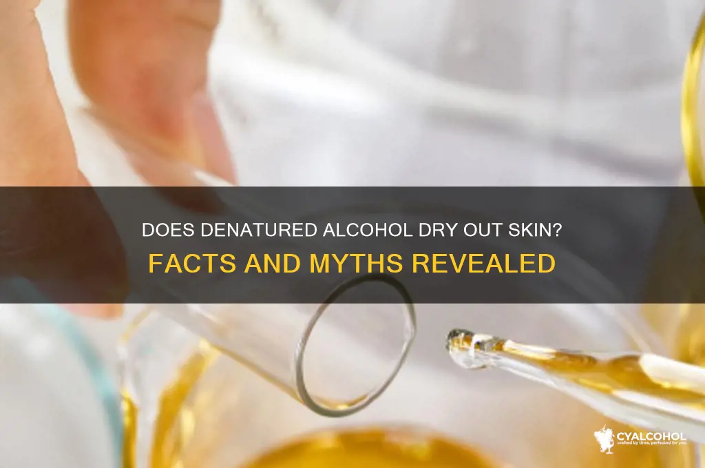 Does Denatured Alcohol Dry Out Skin? Facts And Myths Revealed | CyAlcohol