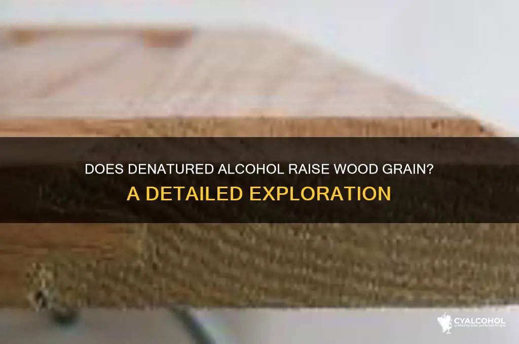 Does Denatured Alcohol Raise Wood Grain? A Detailed Exploration | CyAlcohol
