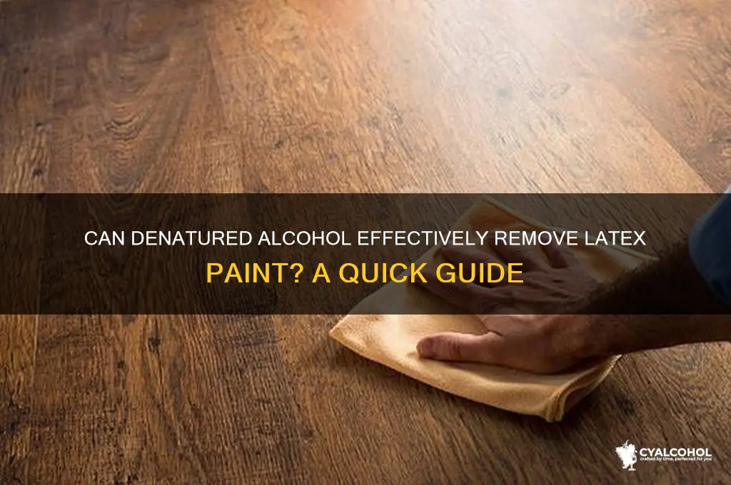 Can Denatured Alcohol Effectively Remove Latex Paint? A Quick Guide ...
