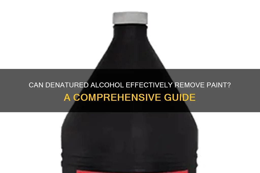 Will Denatured Alcohol Remove Paint