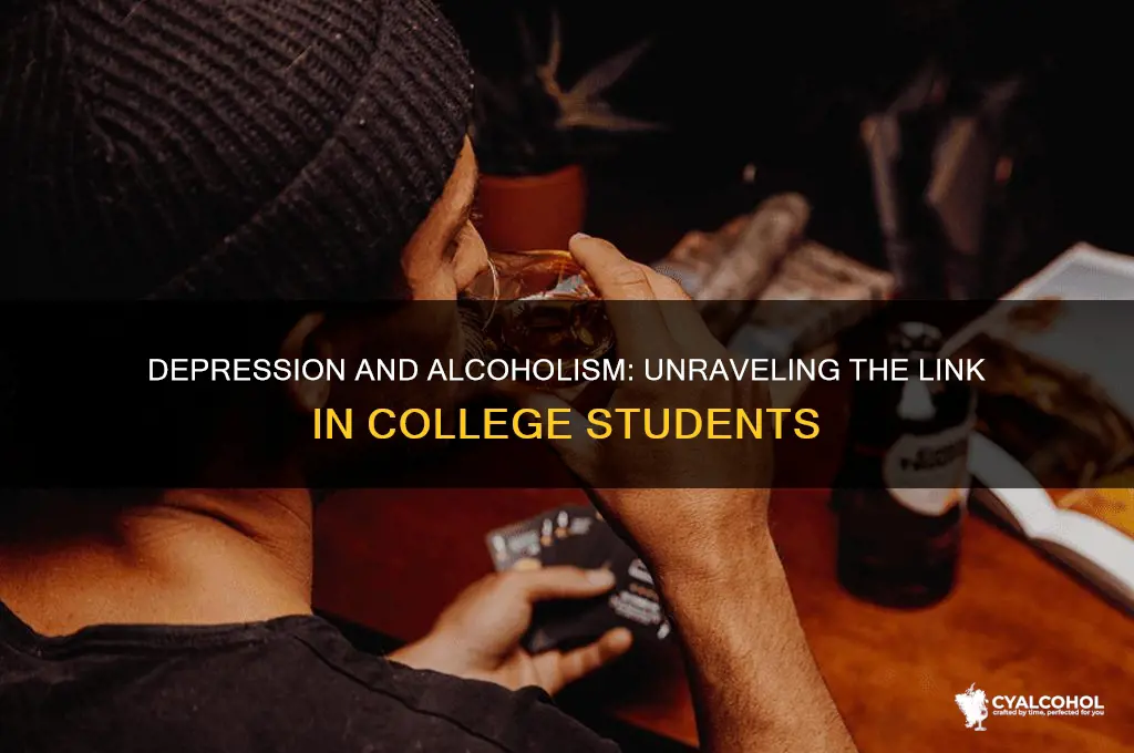 Depression And Alcoholism: Unraveling The Link In College Students ...