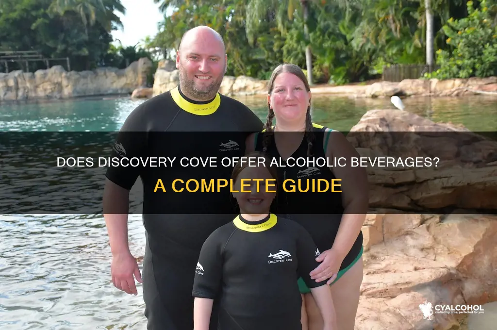Does Discovery Cove Offer Alcoholic Beverages? A Complete Guide | CyAlcohol