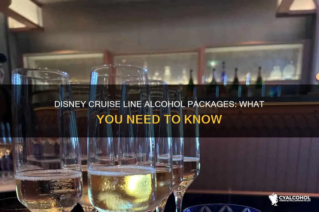 Disney Cruise Line Alcohol Packages: What You Need To Know | CyAlcohol