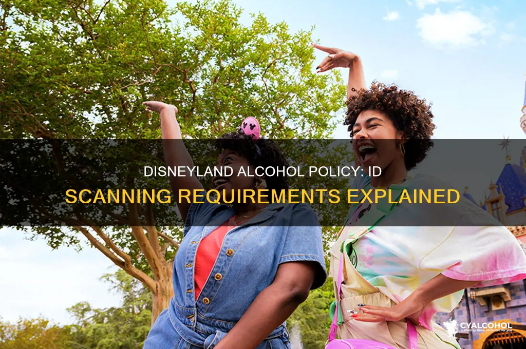 Disneyland Alcohol Policy: Id Scanning Requirements Explained | CyAlcohol