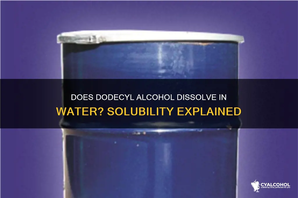 Does Dodecyl Alcohol Dissolve In Water? Solubility Explained | CyAlcohol