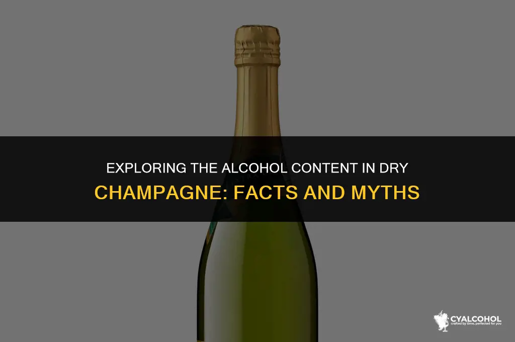 Exploring The Alcohol Content In Dry Champagne: Facts And Myths | CyAlcohol
