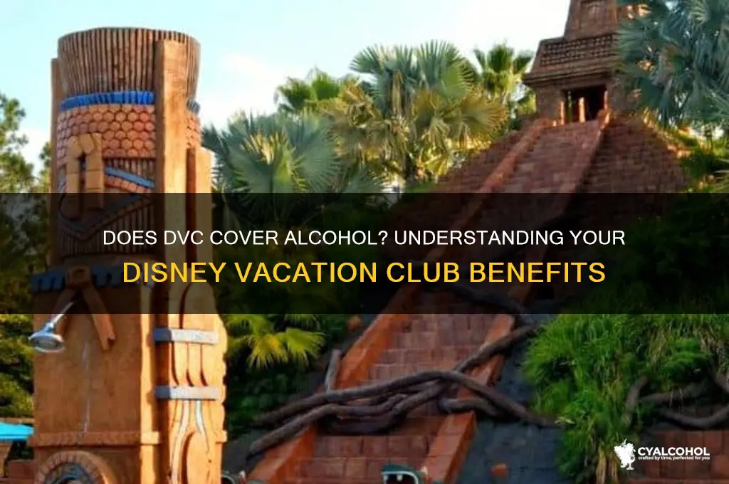 Does Dvc Cover Alcohol? Understanding Your Disney Vacation Club ...