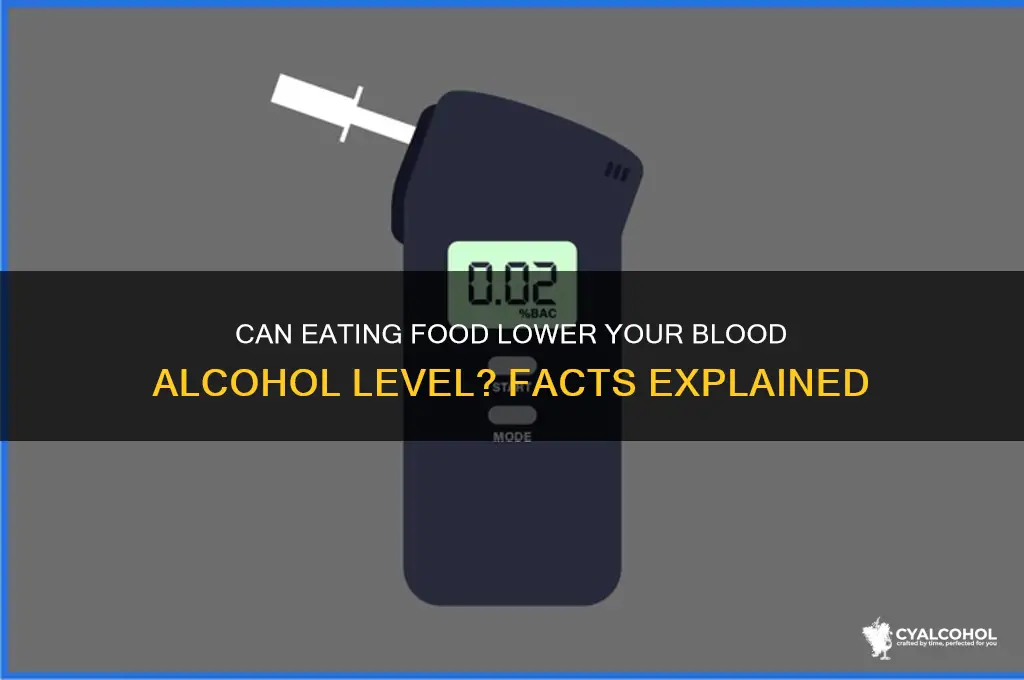 Can Eating Food Lower Your Blood Alcohol Level? Facts Explained | CyAlcohol