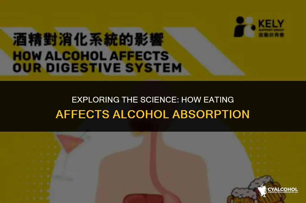 Exploring The Science: How Eating Affects Alcohol Absorption | CyAlcohol
