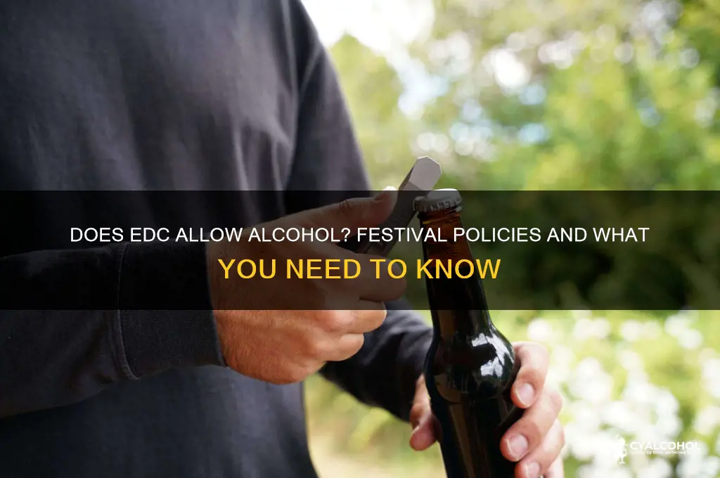 Does Edc Allow Alcohol? Festival Policies And What You Need To Know ...