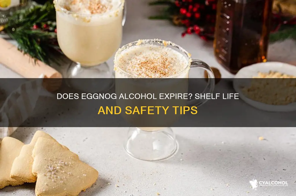 Does Eggnog Alcohol Expire? Shelf Life And Safety Tips | CyAlcohol