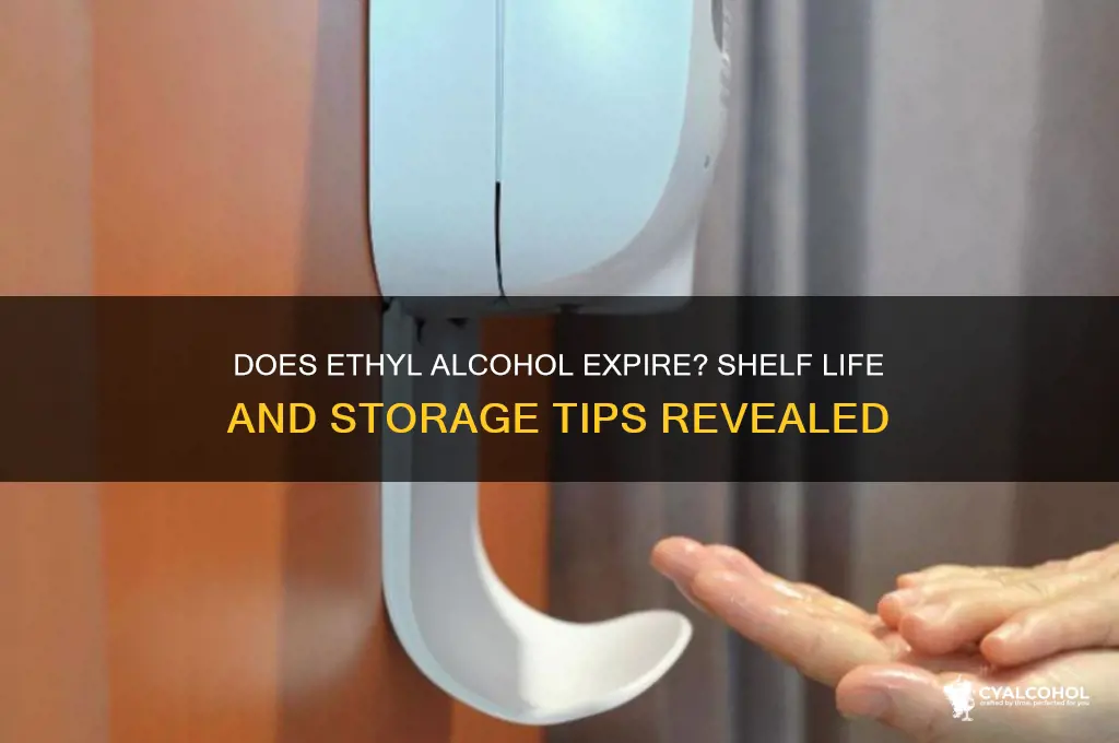 Does Ethyl Alcohol Expire? Shelf Life And Storage Tips Revealed | CyAlcohol