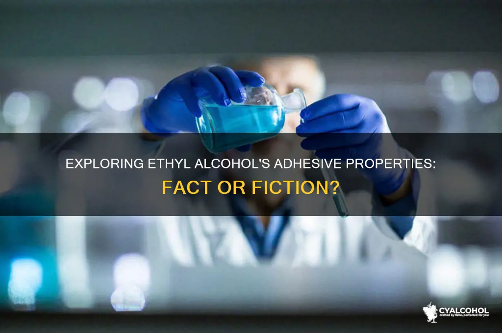 Exploring Ethyl Alcohol's Adhesive Properties: Fact Or Fiction? | CyAlcohol