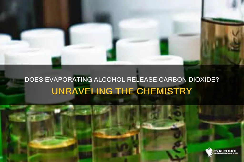 Does Evaporating Alcohol Release Carbon Dioxide? Unraveling The ...