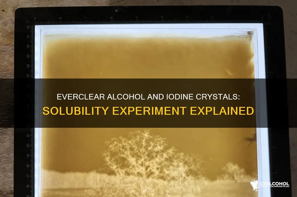 Everclear Alcohol And Iodine Crystals: Solubility Experiment Explained ...
