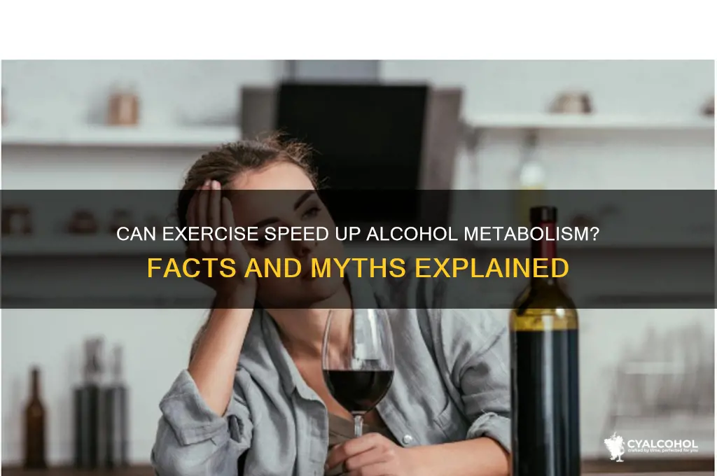 Can Exercise Speed Up Alcohol Metabolism? Facts And Myths Explained ...