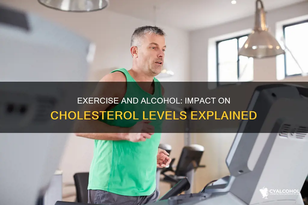 Exercise And Alcohol: Impact On Cholesterol Levels Explained | CyAlcohol