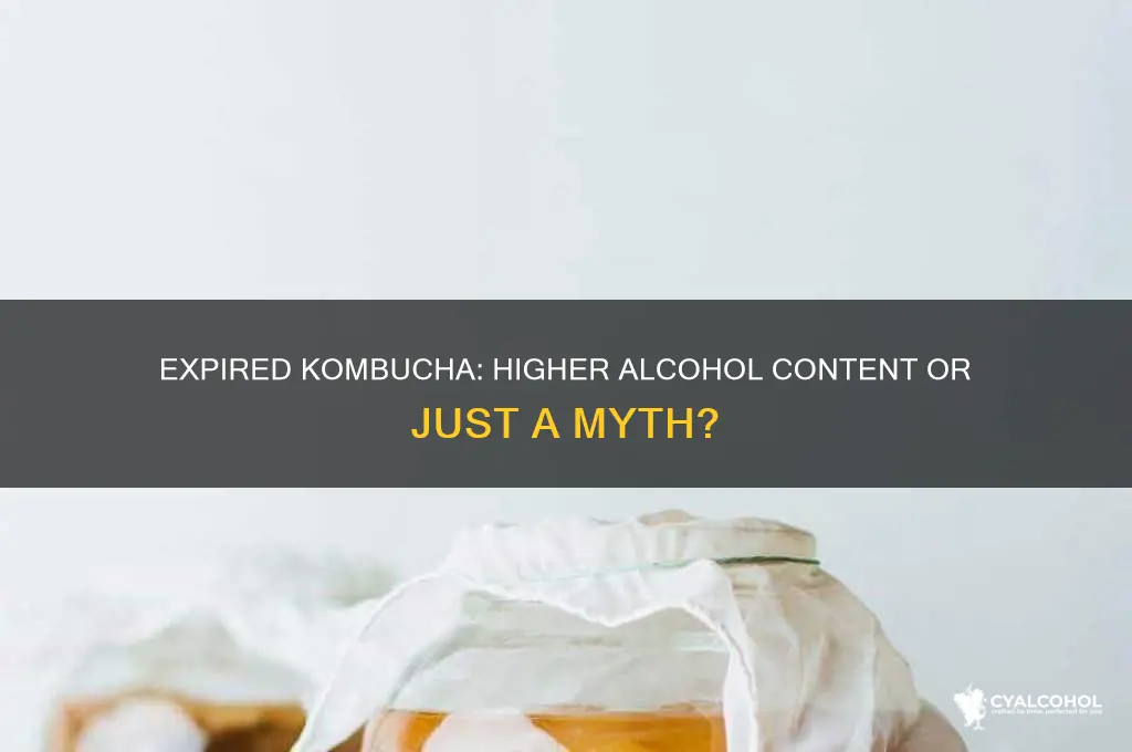 Expired Kombucha: Higher Alcohol Content Or Just A Myth? | CyAlcohol