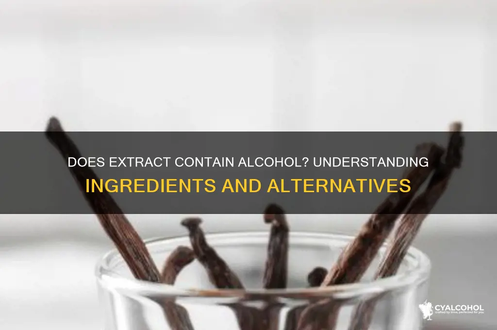 Does Extract Contain Alcohol? Understanding Ingredients And ...