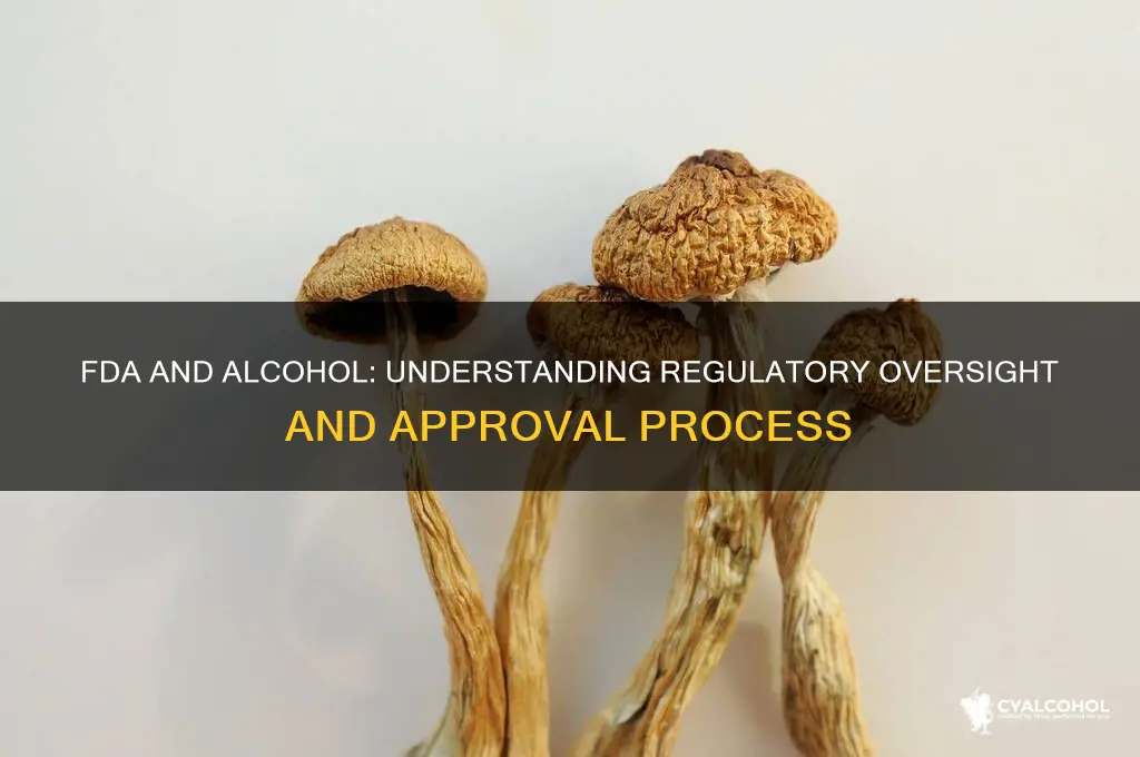 Fda And Alcohol: Understanding Regulatory Oversight And Approval ...