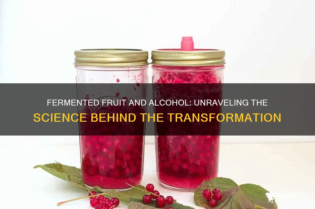 Fermented Fruit And Alcohol: Unraveling The Science Behind The ...