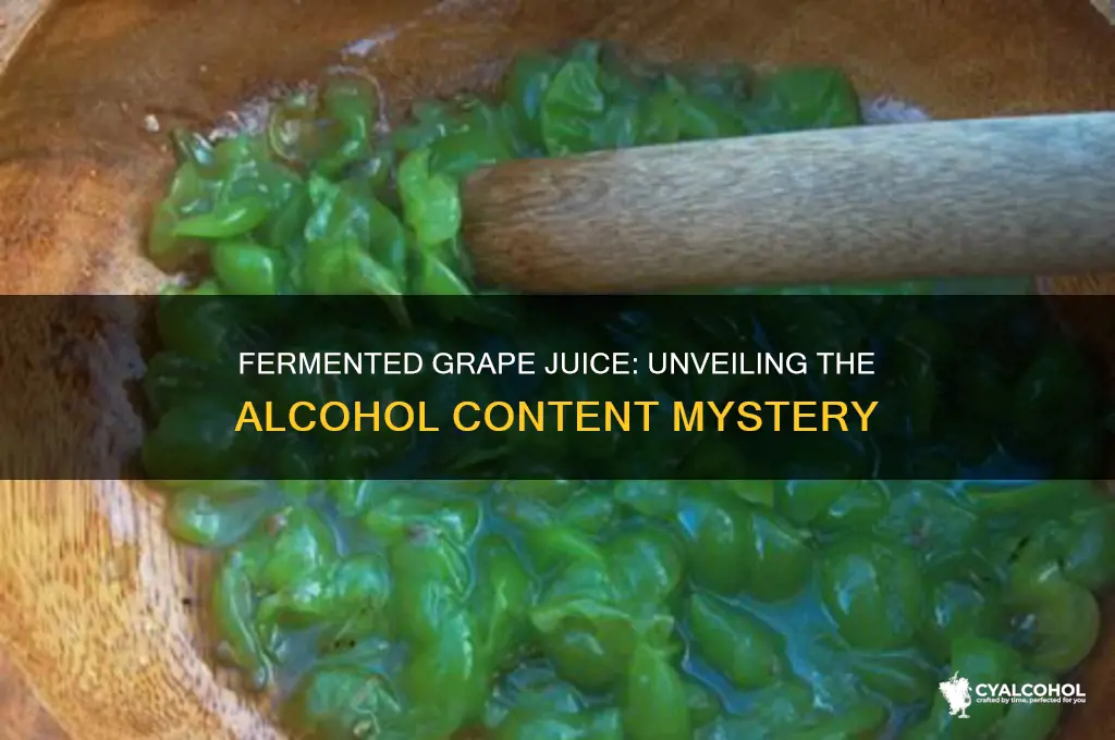 Fermented Grape Juice: Unveiling The Alcohol Content Mystery | CyAlcohol