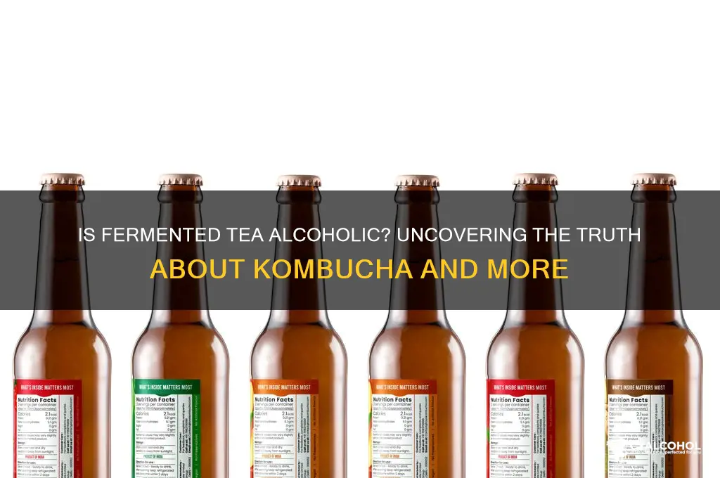 Is Fermented Tea Alcoholic? Uncovering The Truth About Kombucha And ...