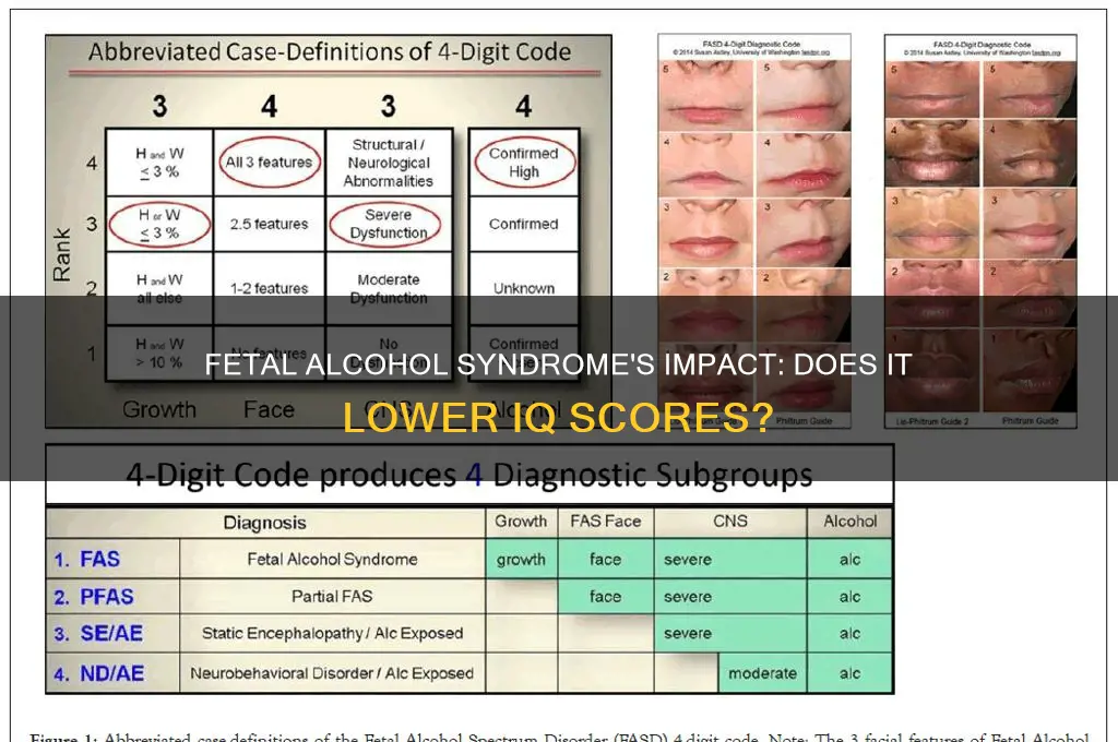 Fetal Alcohol Syndrome's Impact: Does It Lower Iq Scores? | CyAlcohol