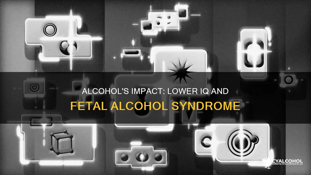 Alcohol's Impact: Lower Iq And Fetal Alcohol Syndrome | CyAlcohol