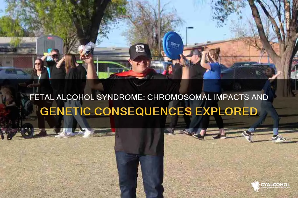 Fetal Alcohol Syndrome: Chromosomal Impacts And Genetic Consequences ...