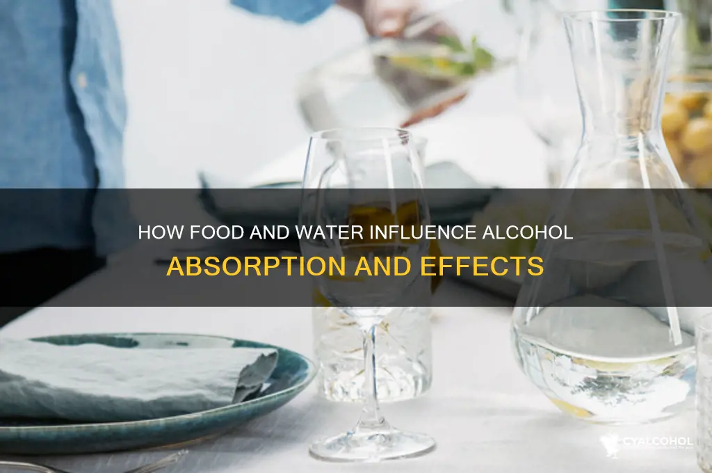 How Food And Water Influence Alcohol Absorption And Effects | CyAlcohol