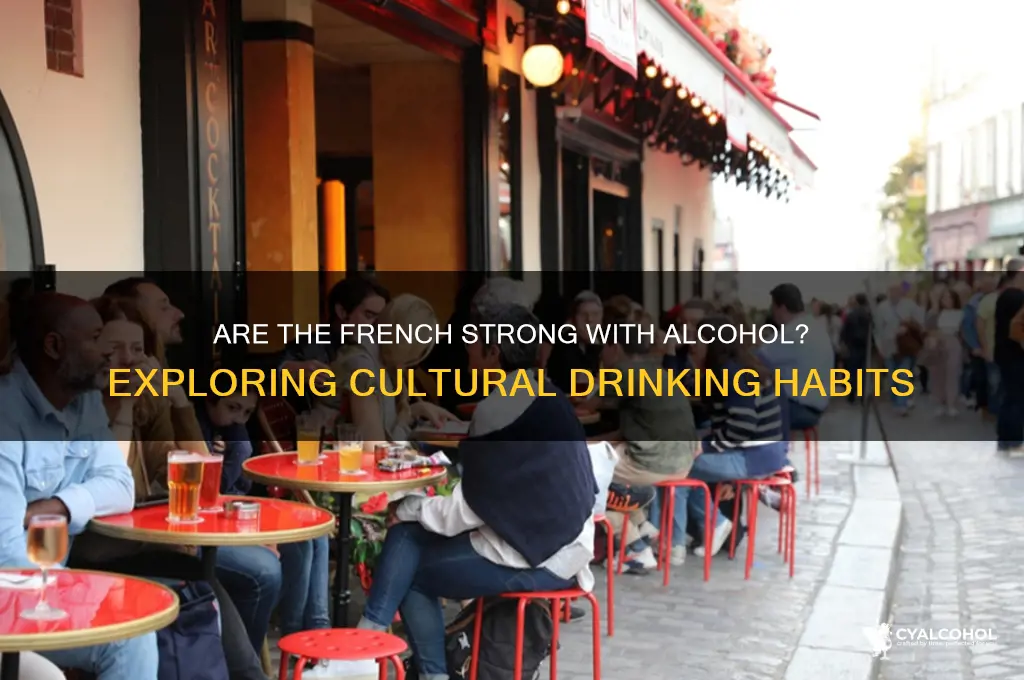 Are The French Strong With Alcohol? Exploring Cultural Drinking Habits ...