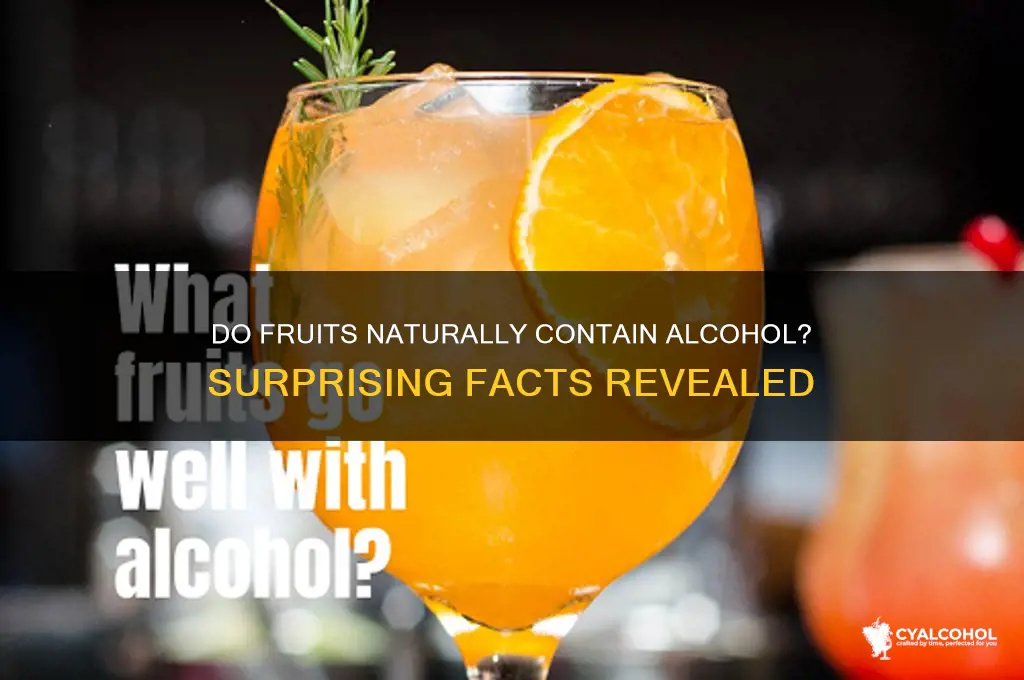 Do Fruits Naturally Contain Alcohol? Surprising Facts Revealed | CyAlcohol