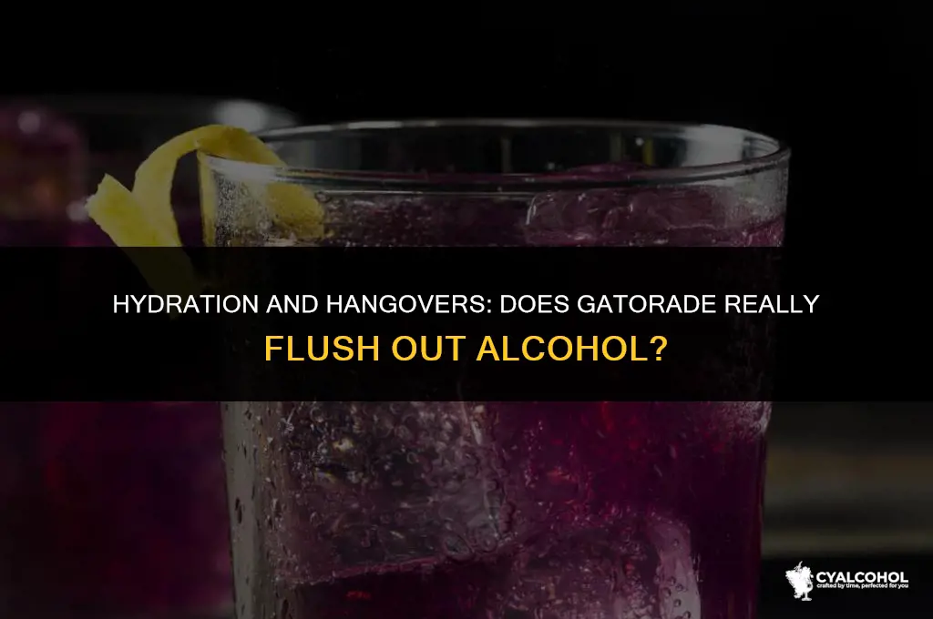 Hydration And Hangovers: Does Gatorade Really Flush Out Alcohol ...